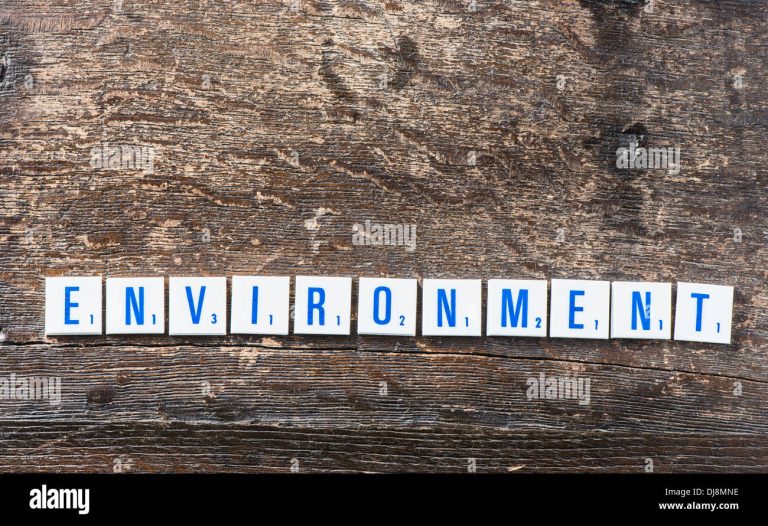 How to Spell Environment? Is it Enviroment or Enviorment? - Theclockend