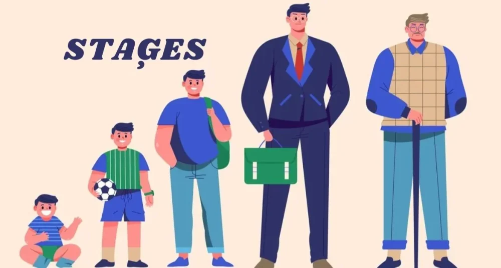 Stages: Understanding the Phases of Life and Progression