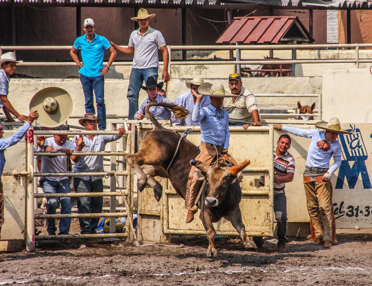 The Thrilling Tradition of Jaripeo: A Deep Dive into Mexico's Bull ...