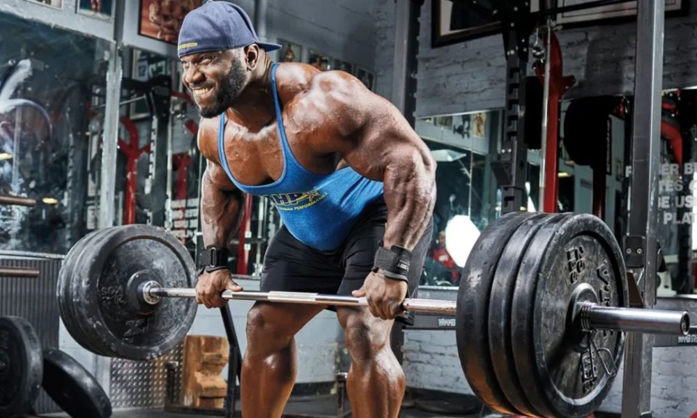 How to Build Muscle: Tips to Increase Muscles - wellhealthorganic.com ...