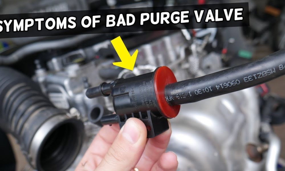 Understanding the Purge Valve: A Key Component in Your Car's Emissions ...