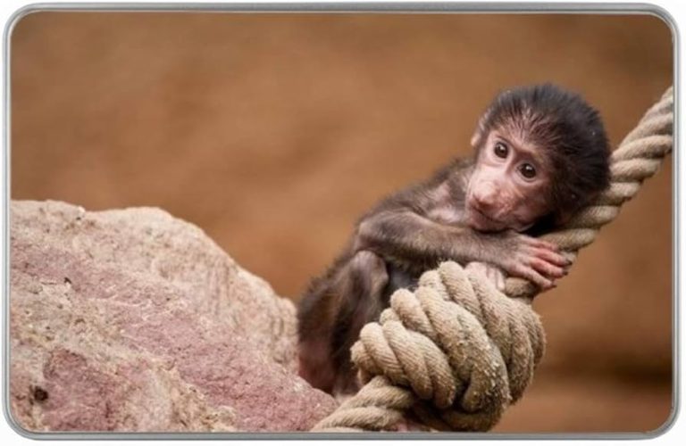 What is Simp City Forum & How to Use the Forum? - Theclockend